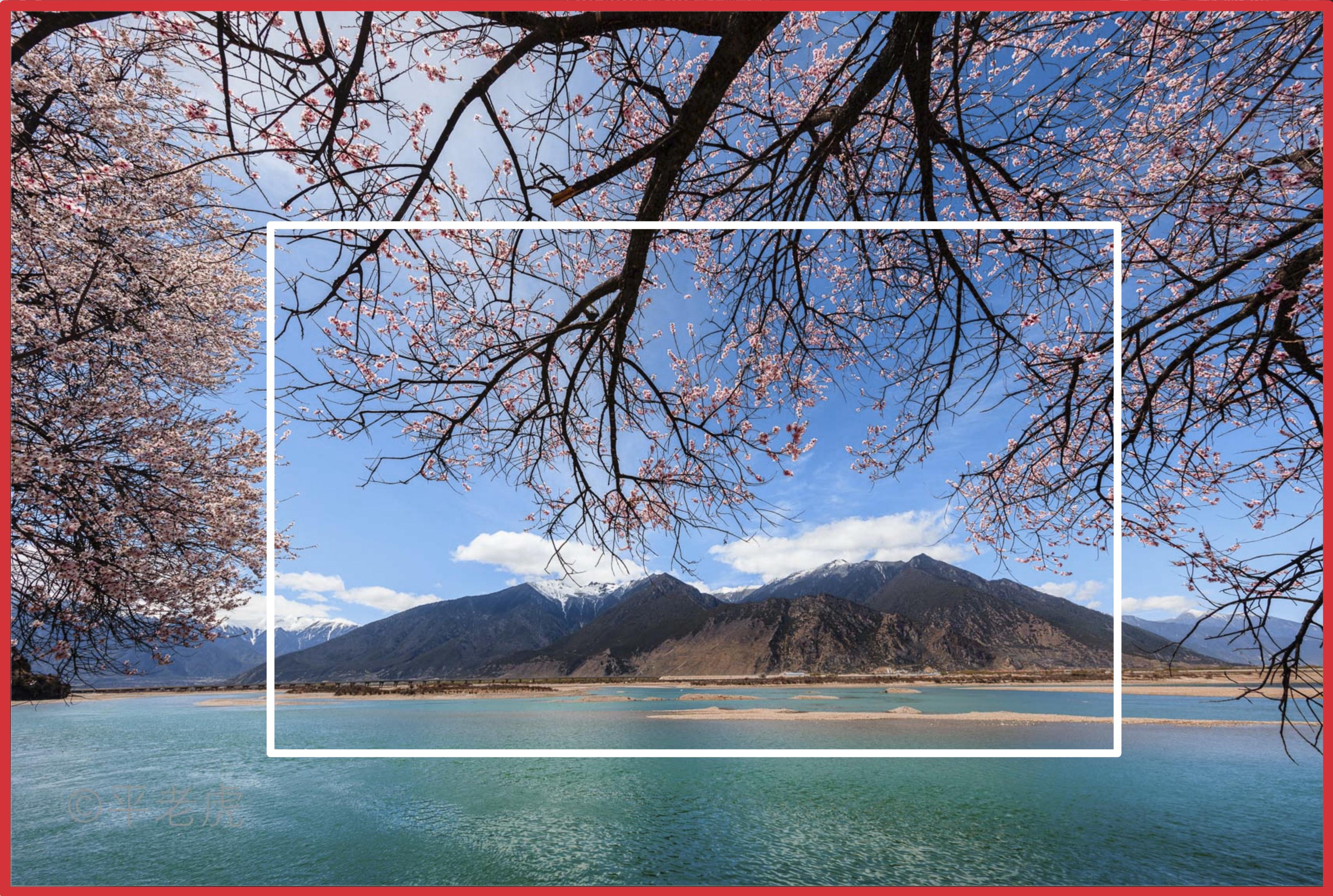 第一台相机，应该买 APS-C 画幅还是全画幅 ？ - 知乎