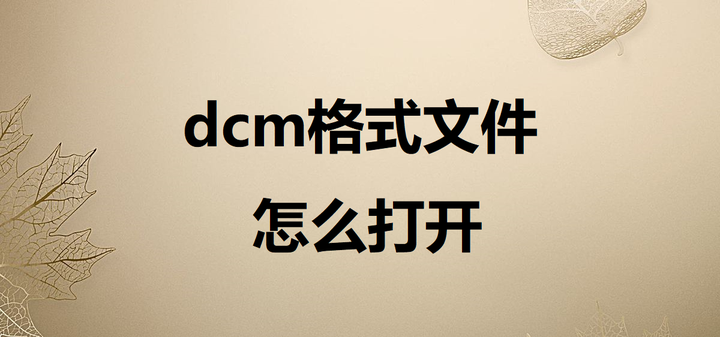 dcm文件怎么打开？ - 知乎