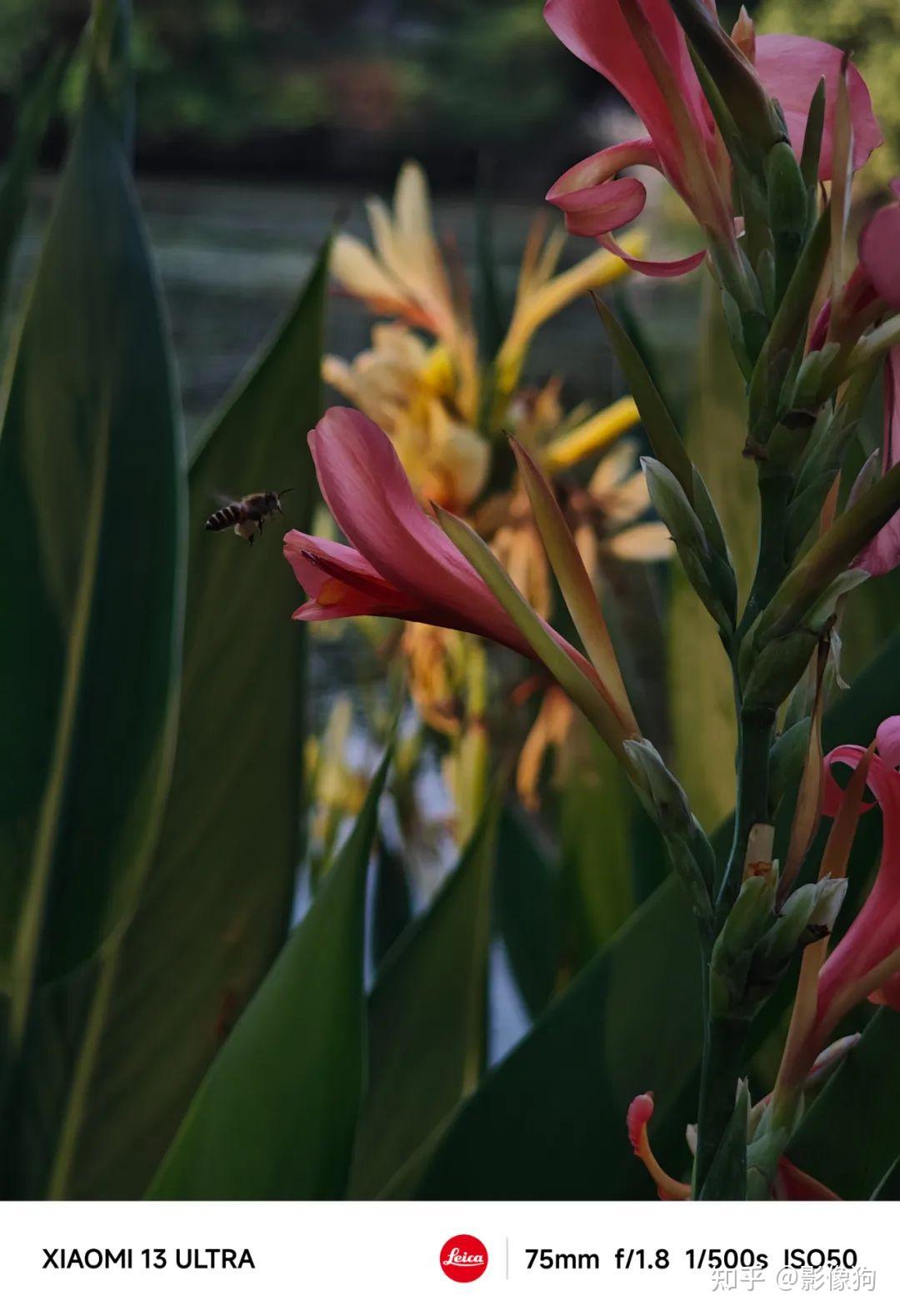 小米13Ultra手机影像测评：作为一台相机，ta表现如何？ - 知乎