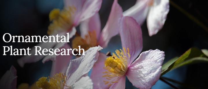 OPR | 毛叶铁线莲热激胁迫下分子响应机制 - 知乎