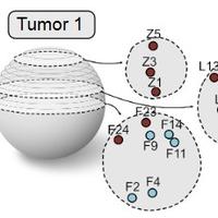 10X单细胞（10X空间转录组）分析回顾之harmony的各种运用（联合NMF和python的harmonypy） - 知乎