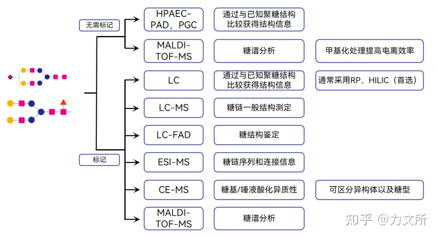 干货！全面解读PNGase F：从原理到应用，一文掌握（上） - 知乎