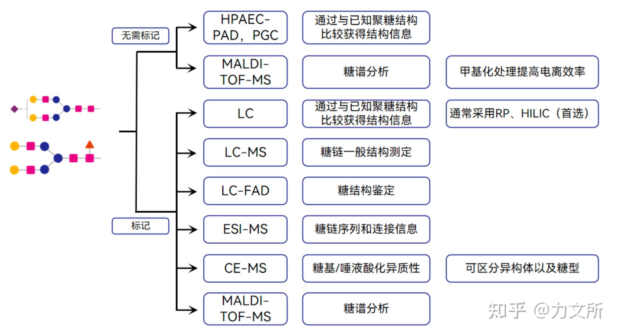 干货！全面解读PNGase F：从原理到应用，一文掌握（上） - 知乎