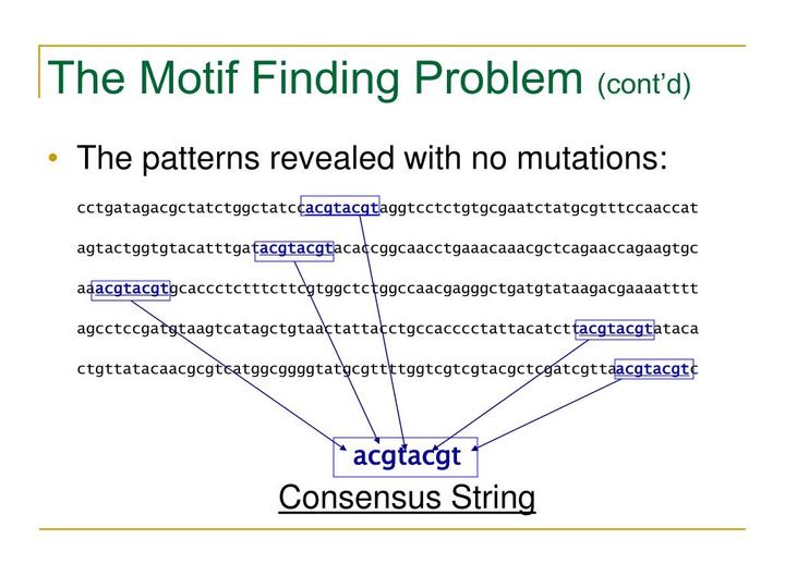 05.生信练习题Finding a Motif in DNA - 知乎