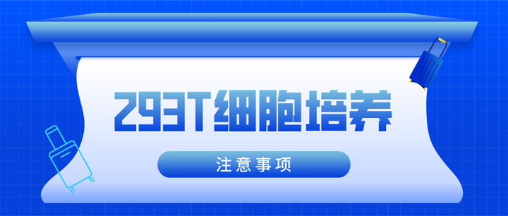 NEST|293T细胞怎样才能养得好？ - 知乎