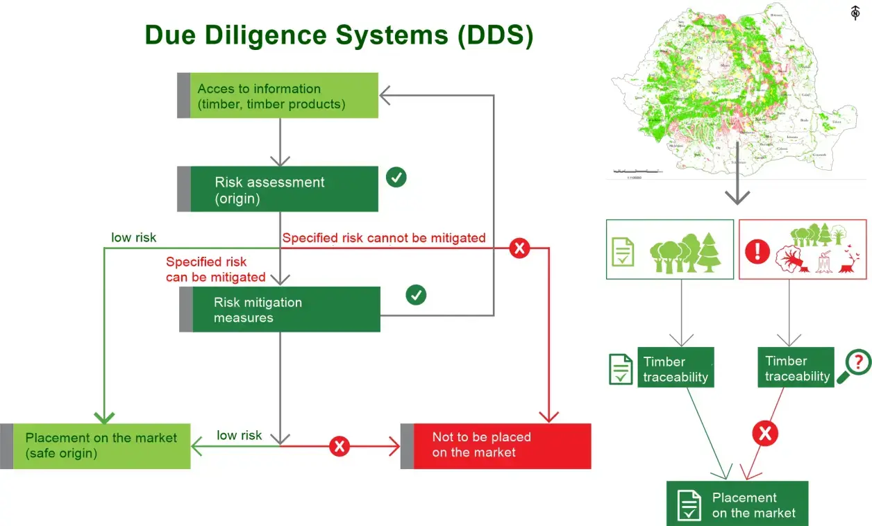 秒懂“EUTR欧盟木材法规”认证流程和市场需求 - 知乎
