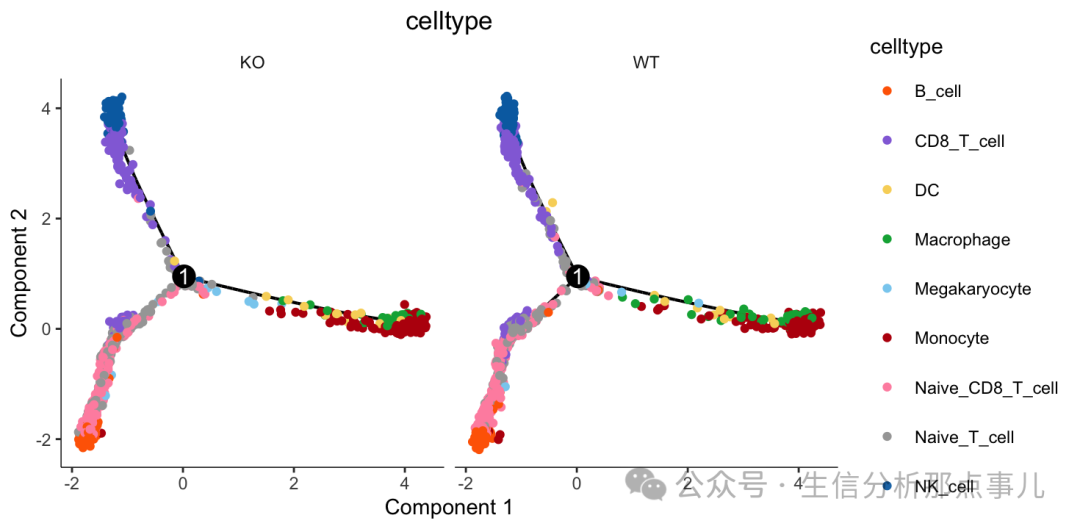 一篇代码搞定monocle2的所有可视化 - 知乎