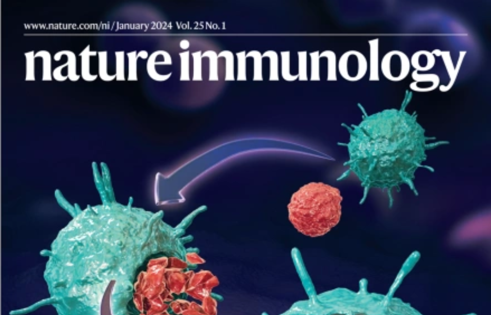 Nat Immu | 转录辅因子Tle3决定记忆性CD8+T细胞分化 - 知乎