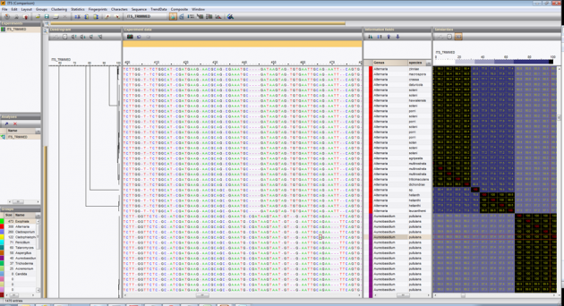 【bionumerics应用15】内转录间隔区系统发育分型 - 知乎