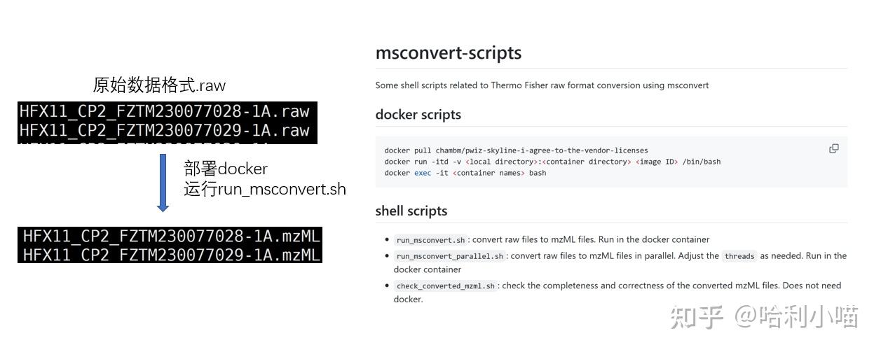 非靶向代谢组学MetaboAnalystR分析全流程 - 知乎