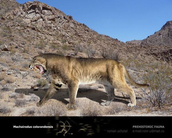 世界上存在过哪些好看的古生物？ - 知乎