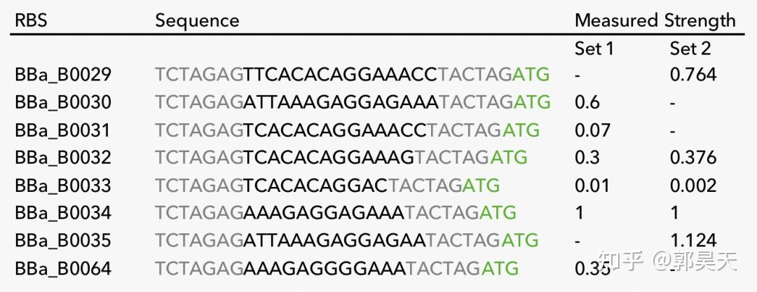 核糖体如何结合mRNA，rRNA的作用呢? - 知乎