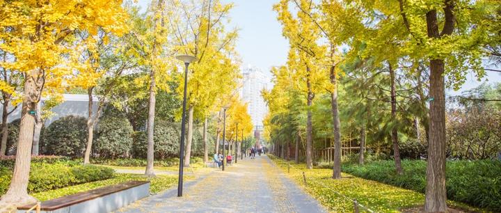 美股为何能长期上涨？ - 知乎