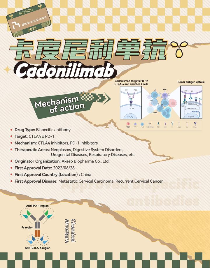 全球已上市双抗图鉴Vol.08 | 卡度尼利单抗（Cadonilimab） - 知乎