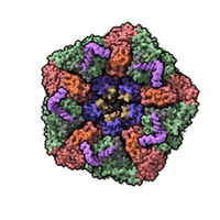 从PDB生成RELION所能用的3D References或Initial model - 知乎