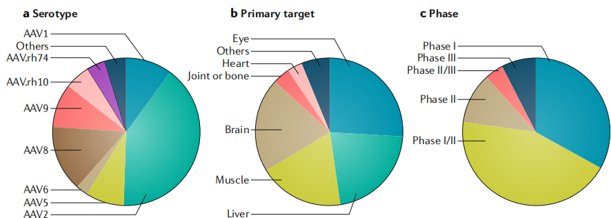 Nature综述：基因治疗载体AAV的“前世今生” - 知乎