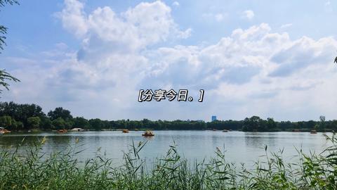 一文看懂境外账户、OSA、NRA和FTN账户的区别 - 知乎