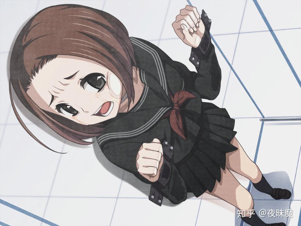 如何评价《乐园（Euphoria）》 这部美少女游戏（GAL）？ - 知乎