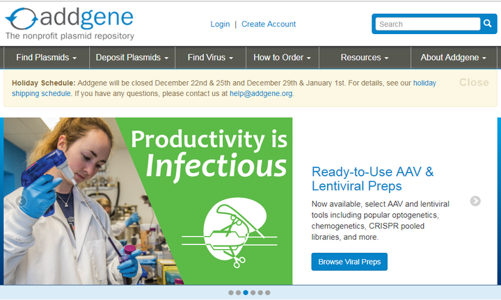 质粒获得：addgene - 知乎