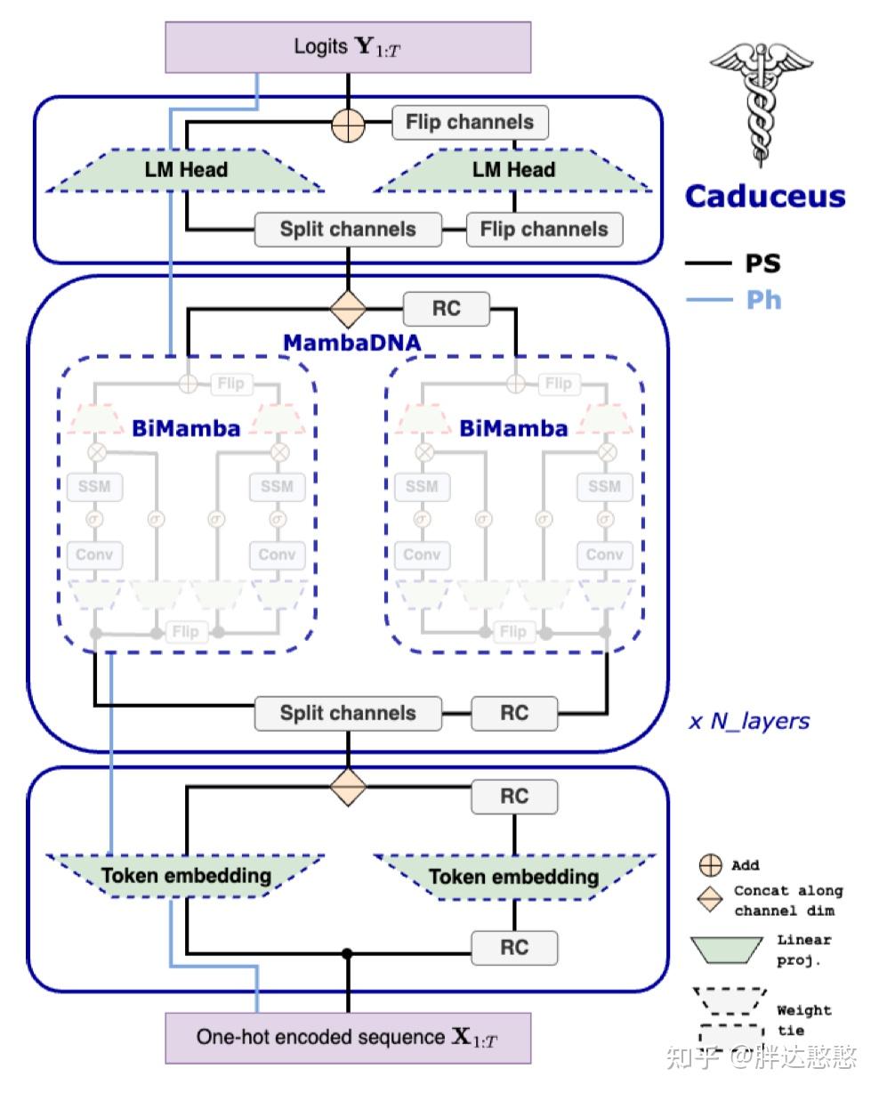 Caduceus: Bi-Directional Equivariant Long-Range DNA Sequence Modeling 一 ...