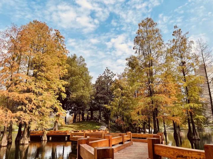 Hex-Rays IDA Professional 7.7破解版-附代码逆向分析人员常用API列表 - 知乎