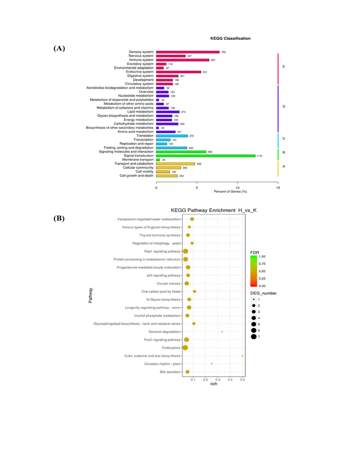 R language for KEGG pathway enrichment visualization - 知乎