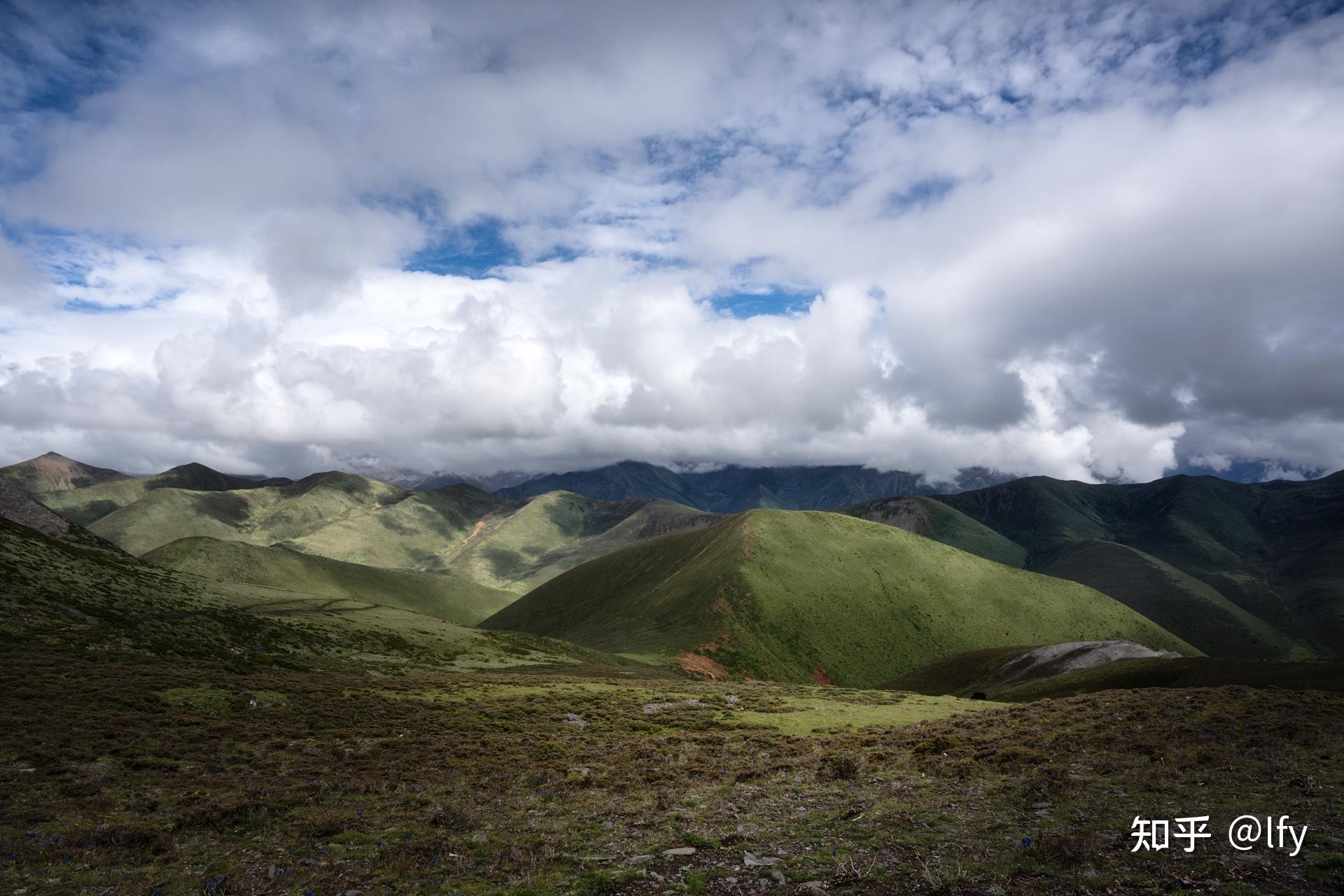 尼康z63出来后，z63 z72 z8 选谁? - 知乎