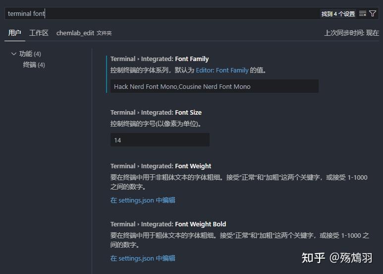 VSCODE终端美化 - 知乎