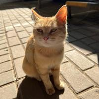 threejs中OrbitControls的用法 - 知乎