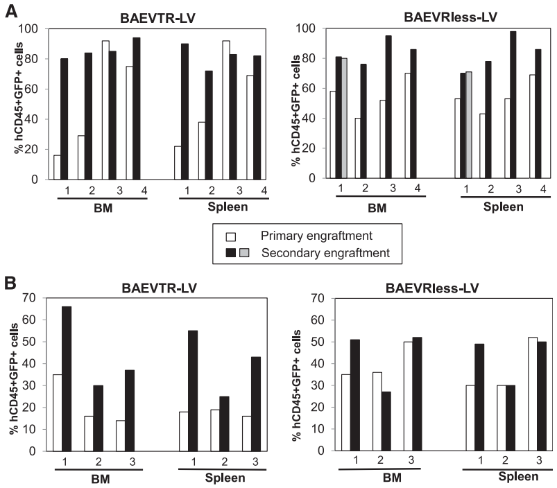 【新品推荐】狒狒内源性逆转录病毒包膜糖蛋白假型慢病毒（BaEV-LVs）——实现低剂量、低细胞因子依赖及高静止期细胞转导 - 知乎