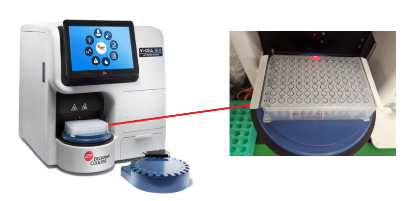Vi-CELL BLU细胞计数仪在工程细胞株开发中的特点和优势 - 知乎