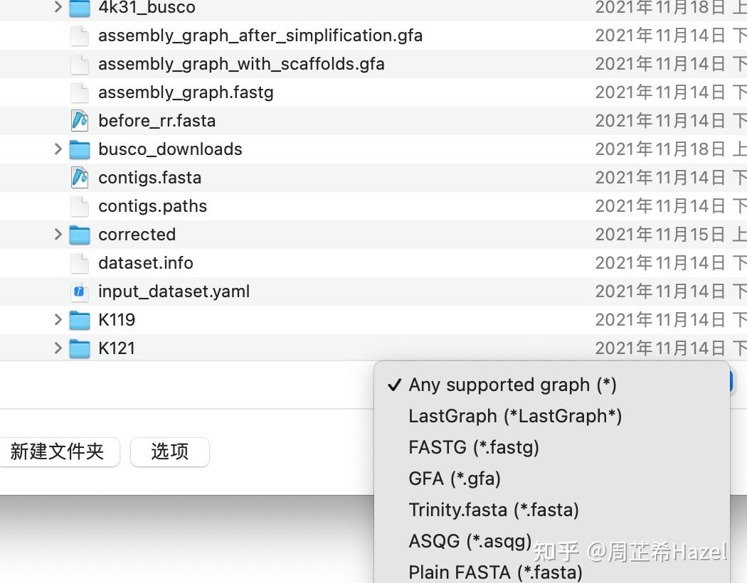生信log21|基因组成圈了吗？-拼接路径可视化软件Bandage结果详解 - 知乎