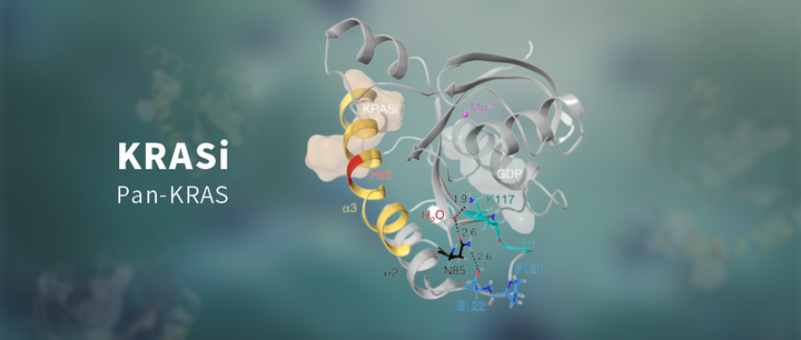 Nature重磅丨“不可成药”靶点又一新突破！可抑制98%KRAS驱动癌症 - 知乎