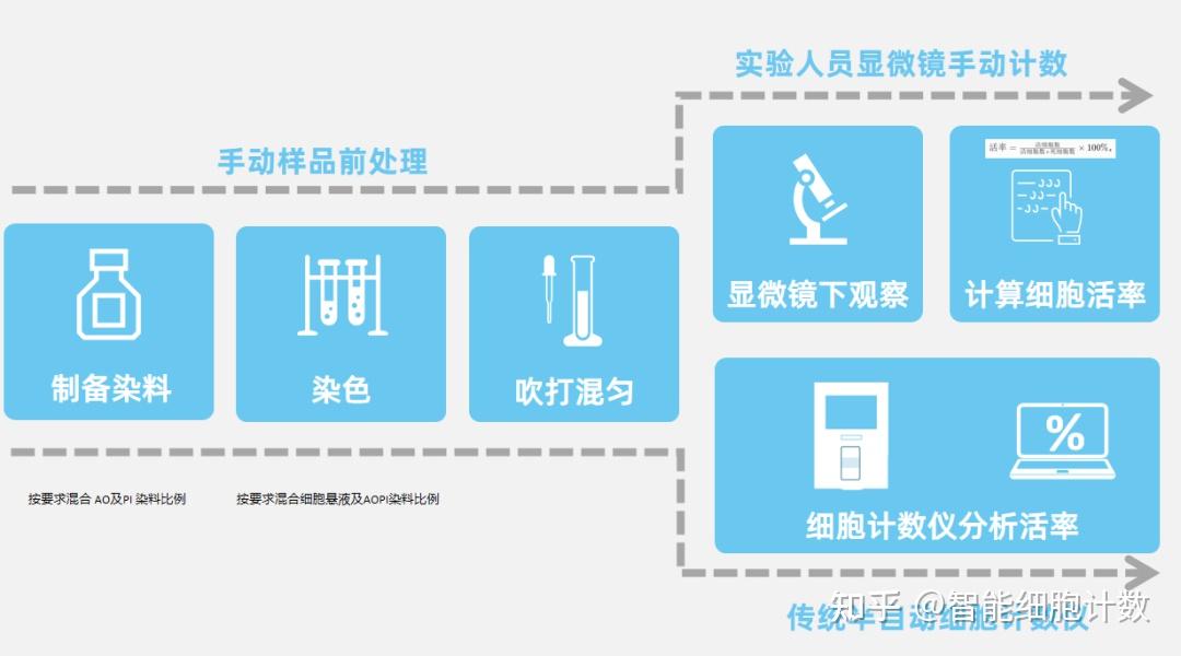 AOPI荧光染色法：细胞活率分析的标准化解决方案 - 知乎