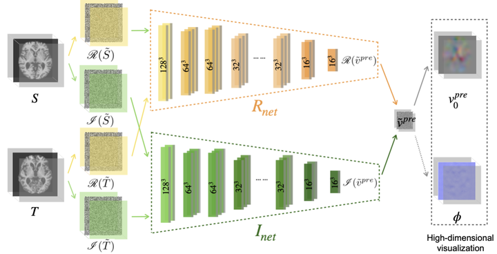 DeepFLASH：更高效的医学图像配准网络 - 知乎