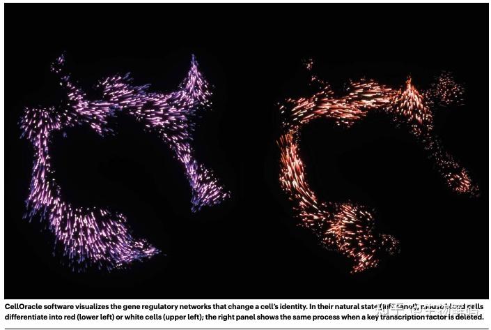 每日文摘 | 2022年09月07日 - 知乎