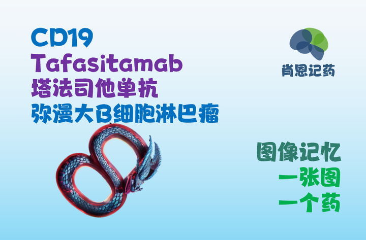 记住所有FDA生物药 | Tafasitamab靶向CD19 | 弥漫性大B细胞淋巴瘤 - 知乎