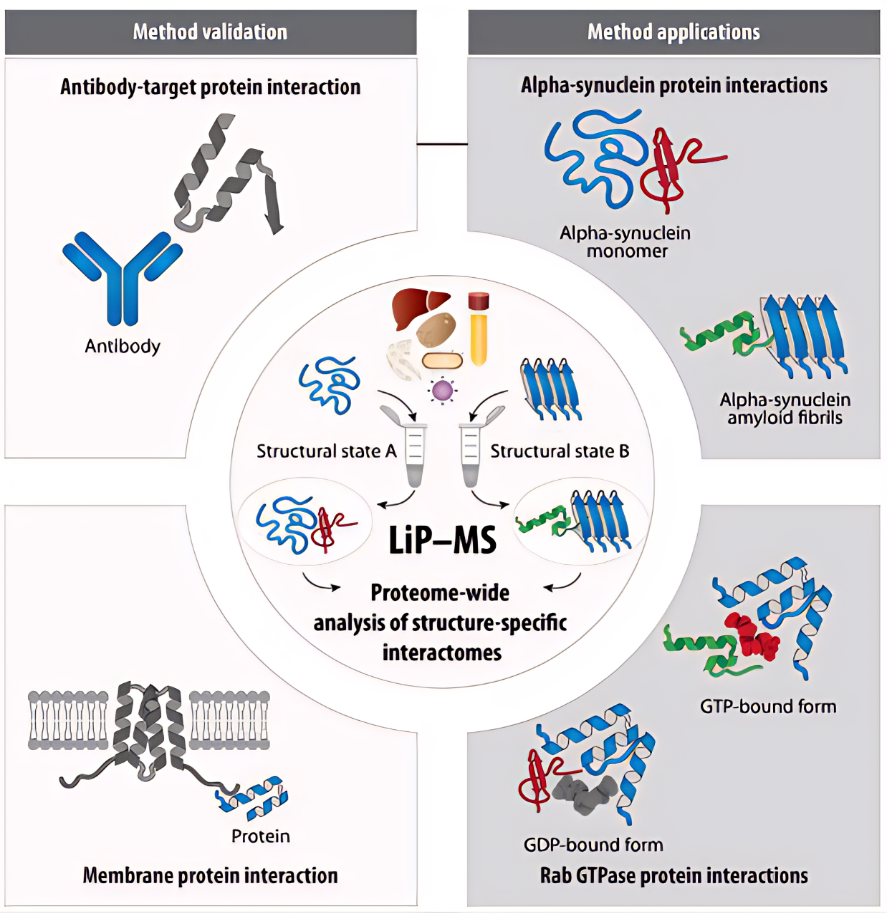 鉴定蛋白质-蛋白质相互作用特殊的方法——LiP-MS - 知乎