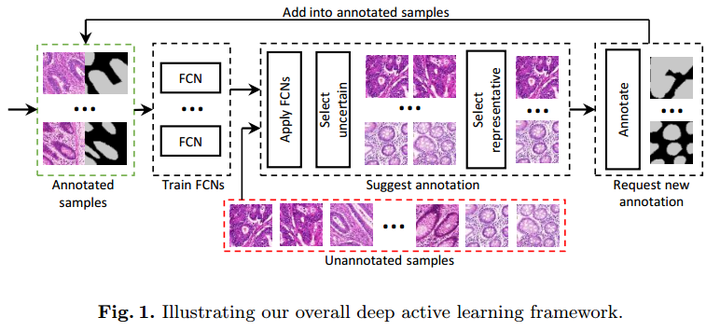 Suggestive Annotation: A Deep Active Learning Framework for Biomedical Image Segmentation阅读笔记 - 知乎