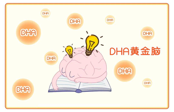 黄金营养素DHA，脑部健康的金钥匙 - 知乎
