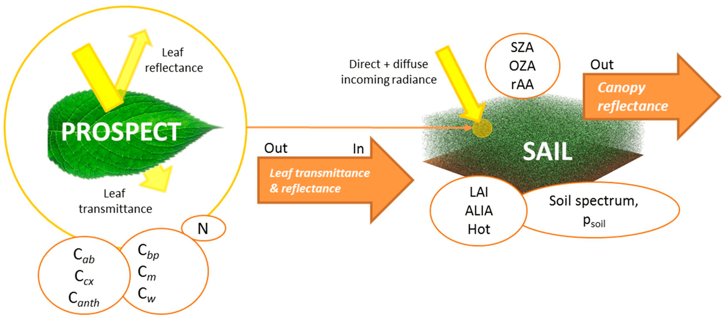 Prosail的Python版本安装 - 知乎