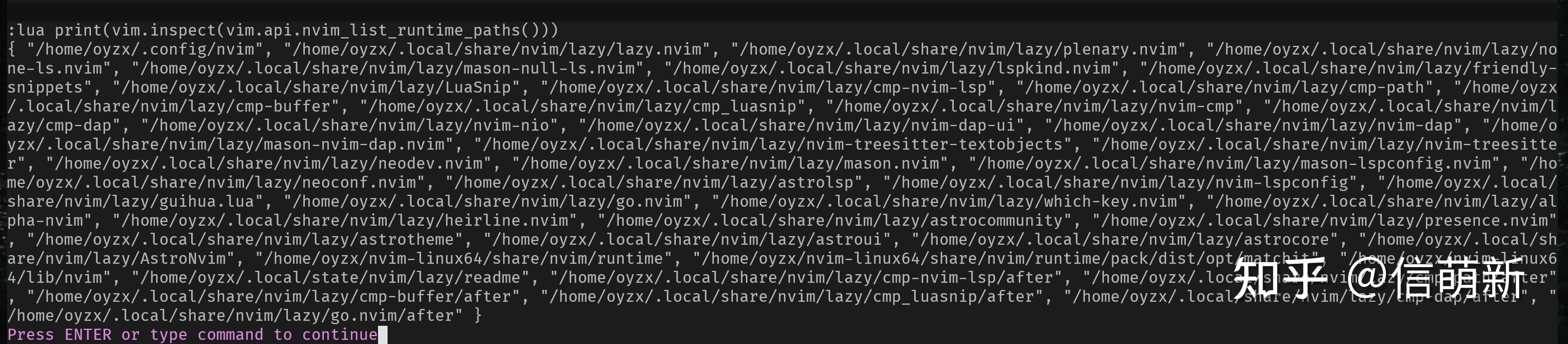【Linux】Neovim框架—AstroNvim初识 - 知乎