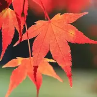 N79频段对于5g有多重要 - 知乎