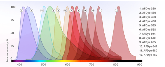 细胞荧光染色-AF488 Phalloidin，鬼笔环肽-AF488标记 - 知乎