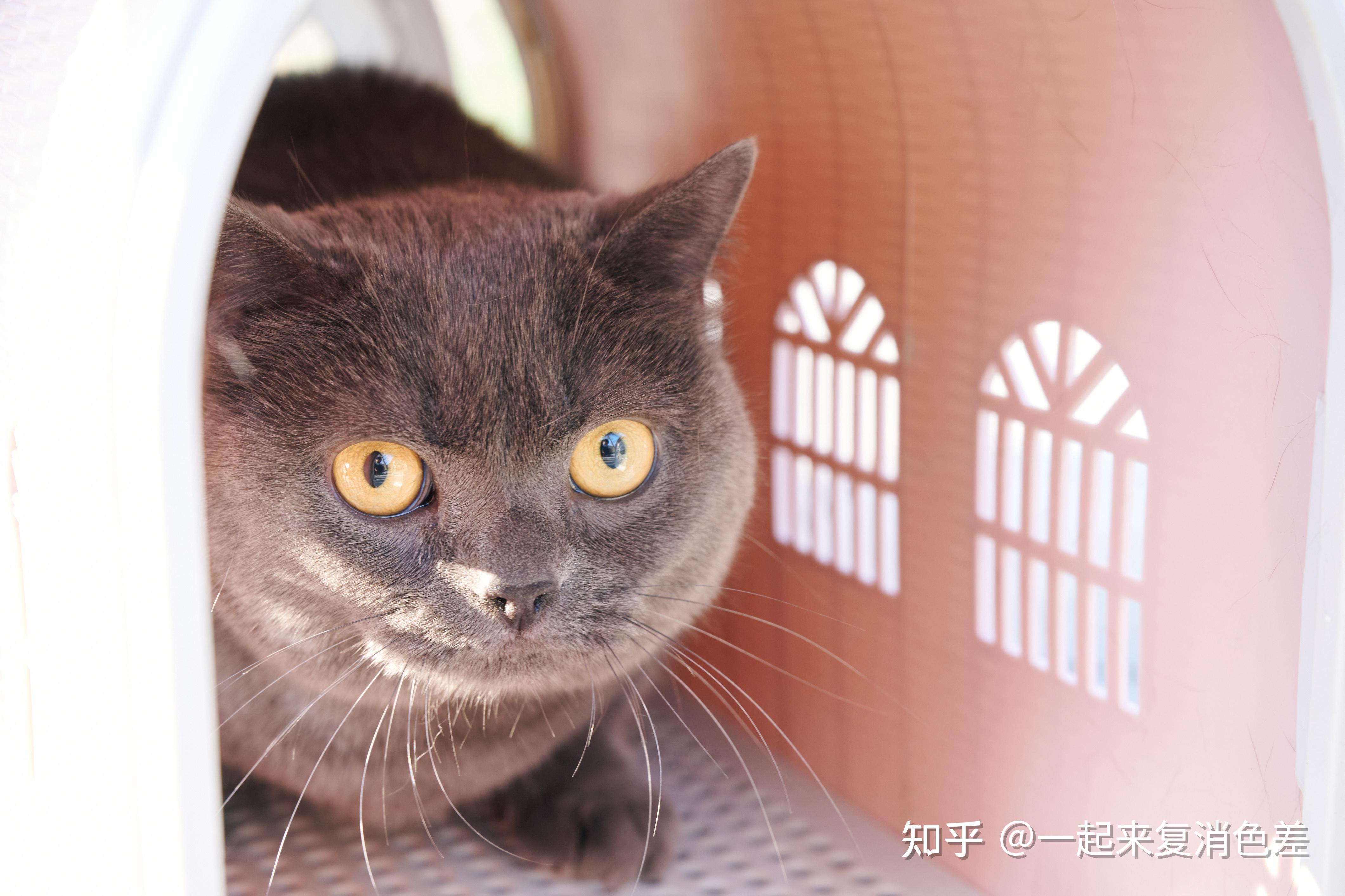 尼康Z6，一定一变选Z24-70 F4还是Z24-120 F4？ - 知乎