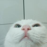 最快Go框架性能比拼: gnet vs fiber vs fasthttp vs net/http - 知乎