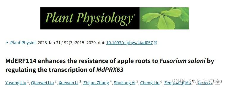 DAP-seq：解锁植物转录因子调控密码的高效利器 - 知乎