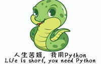 深入Python typing模块：掌握Optional、Annotated等，写出更优雅的代码 - 知乎