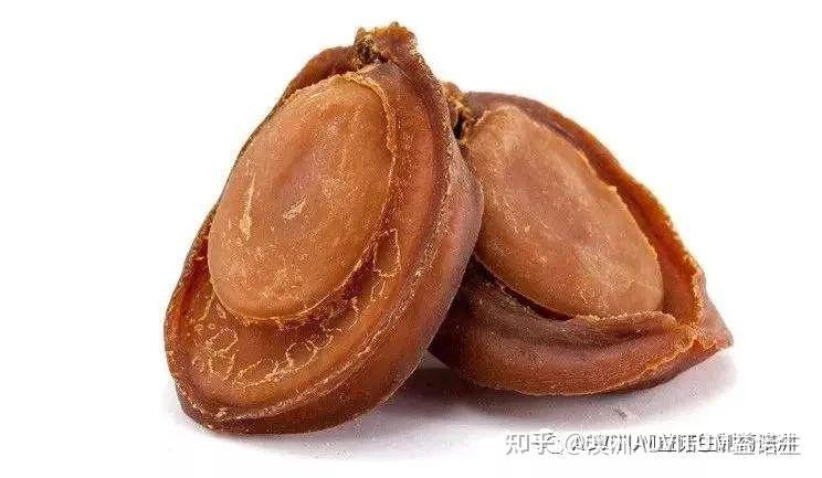 世间鲍鱼千千万，为何偏偏澳洲的最稀罕？ - 知乎