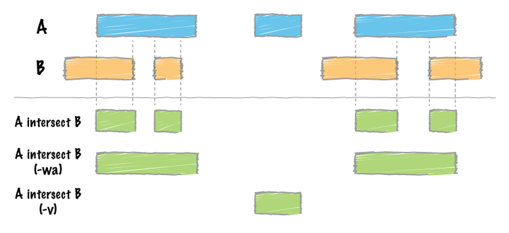 Bedtools 快速筛选重合区间 知乎